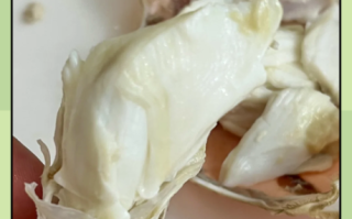 梭子蟹死了能放多久_死了的梭子蟹还能吃吗