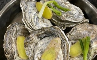 10元5个生蚝利润多少_地摊生蚝成本利润分析