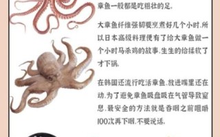 章鱼和鱿鱼的口感区别_哪个更嫩更脆