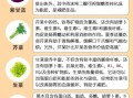 刮油蔬菜有哪些_怎么吃最减脂