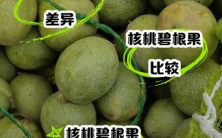 碧根果和核桃的区别_哪个营养价值更高