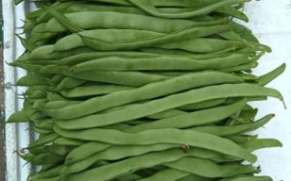 蔬菜配送系统哪家好_蔬菜配送系统多少钱