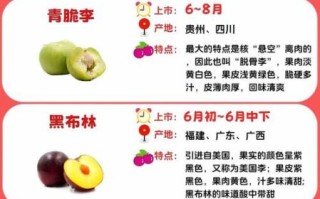 中国十大顶级水果有哪些_为什么价格这么高