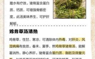 鸡骨草煲猪横利的功效与作用_孕妇能吃吗