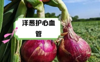 洋葱生吃怎么做_洋葱生吃有什么好处