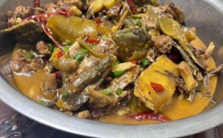 霸王别姬菜的功效与作用_霸王别姬菜适合什么人吃