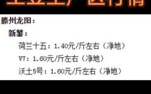 马铃薯价格走势_马铃薯种植技术