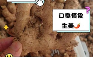 生姜不能和什么一起吃_生姜的5大禁忌有哪些
