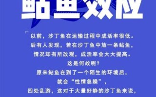 什么是鲢鱼效应_如何运用鲢鱼效应管理团队