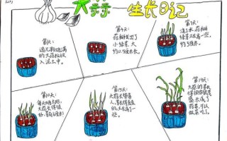 发芽的大蒜能吃吗_发芽大蒜的11种妙用