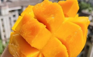 苹果芒怎么吃_苹果芒的正确吃法