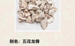 龙骨的功效与作用及副作用_龙骨可以长期吃吗