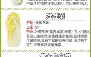 小白菜和大白菜的区别_哪个营养更高