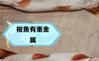 大梭鱼怎么做好吃_大梭鱼家常做法