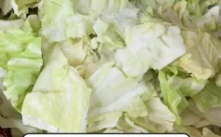 茴子白泡菜怎么腌制_茴子白泡菜腌制方法