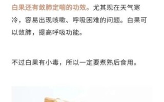 白果怎么吃最健康_白果一天吃多少粒合适