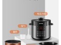 电压力锅和电饭煲哪个好_家用怎么选