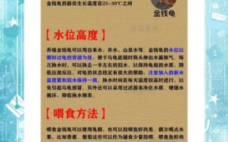 金钱龟怎么养_金钱龟饲养方法