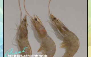 大虾怎么去虾线_虾线挑不出来怎么办