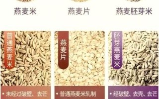 燕麦米和燕麦片有什么区别_哪个更适合减肥