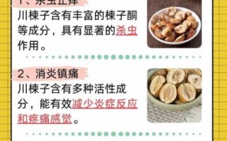 川楝子功效与作用_川楝子能杀虫吗