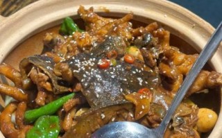 甲鱼烧鸡怎么做_甲鱼烧鸡最正宗的做法