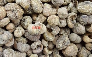 贝母的功效与作用_川贝母和浙贝母的区别