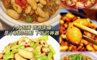 腰子是什么东西_腰子和肾的区别