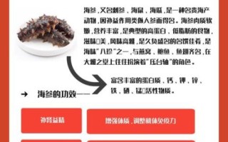海参性温还是性寒_海参的功效与作用有哪些 海参性温还是性寒_海参的功效与作用有哪些