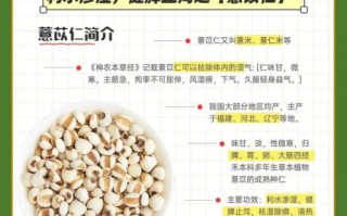 薏仁的功效与作用_薏仁怎么吃祛湿效果最好