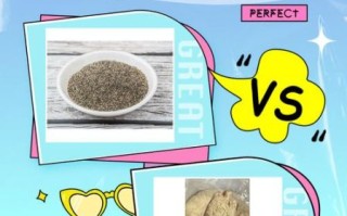 白胡椒粉和黑胡椒粉的区别_哪个更辣