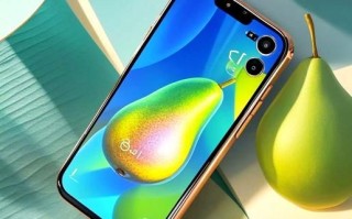 鸭梨手机怎么样_鸭梨手机值得买吗