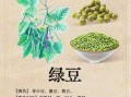 绿豆解中药吗_喝中药能吃绿豆吗