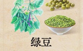 绿豆解中药吗_喝中药能吃绿豆吗