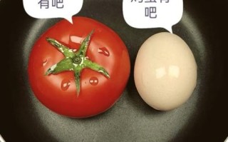 西红柿饼怎么做_西红柿饼的家常做法