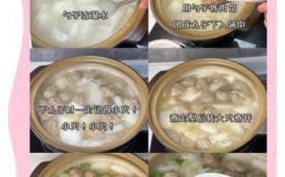 萝卜肉丸汤怎么做_萝卜肉丸汤的家常做法