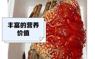 澳洲皇帝蟹多少钱一斤_澳洲皇帝蟹价格2024