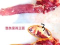 里脊怎么读_里脊肉怎么切才嫩