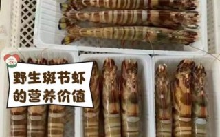 斑节对虾苗价格_斑节对虾苗怎么养