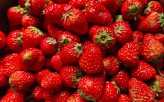 自制草莓果酱怎么做_保存多久不会坏