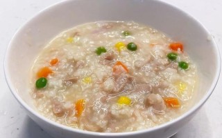 鸡肉粥怎么煮才嫩_鸡肉粥的做法大全