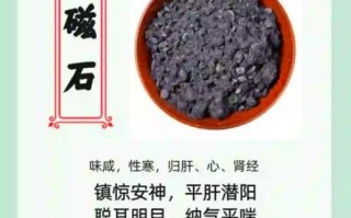 磁石的功效与作用_磁石对人体有害吗