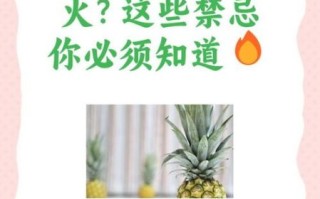 菠萝果是上火还是降火_吃菠萝会上火吗