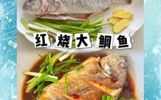 鲷鱼怎么做好吃_清蒸鲷鱼的做法步骤