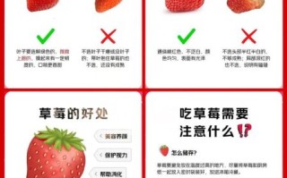 为什么冬天才有草莓_冬天草莓怎么种出来的