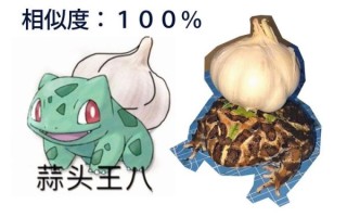 蒜头王八图片_蒜头王八是什么梗