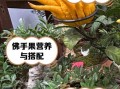 佛手果的功效与作用_佛手果怎么吃最好