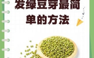 家庭绿豆芽怎么发_绿豆芽发芽最快的方法