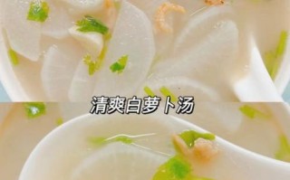 白萝卜怎么做好吃_白萝卜做法大全窍门