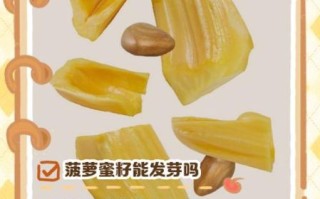 菠萝蜜核怎么种_菠萝蜜核能种出树苗吗